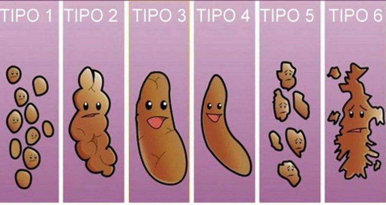 Feci e salute: cosa rivela l'aspetto delle feci sulla salute