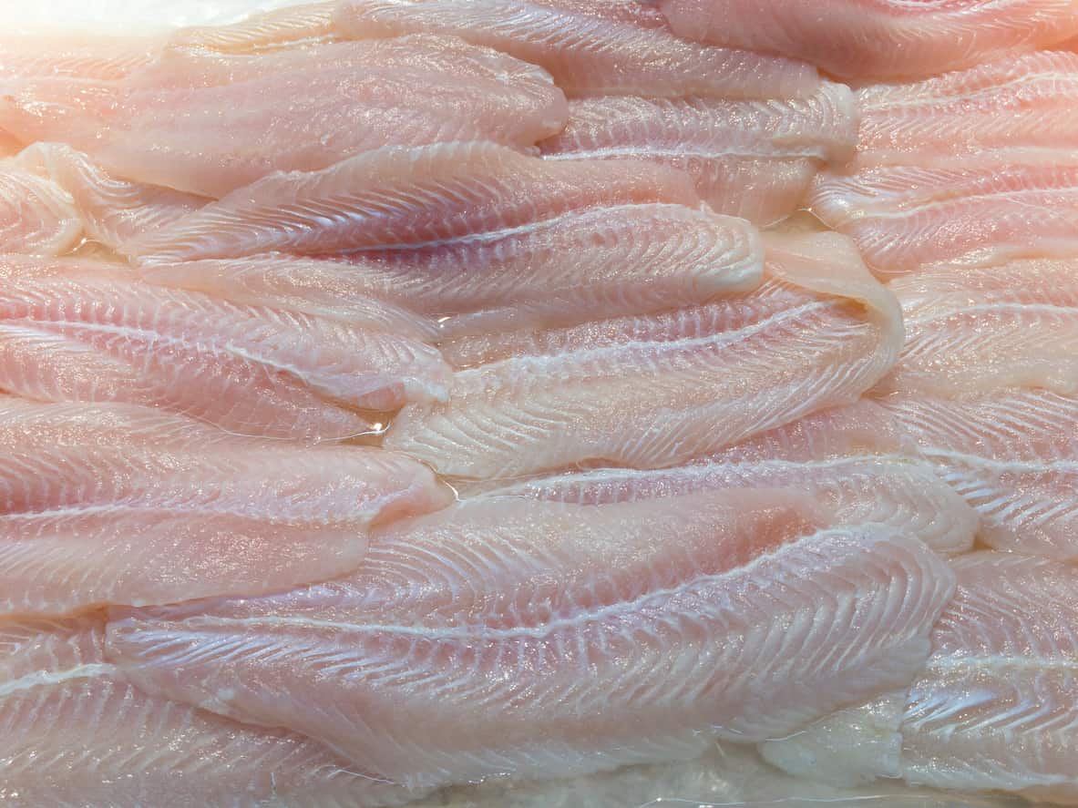 Pangasio, mangiare questo pesce è pericoloso per la salute