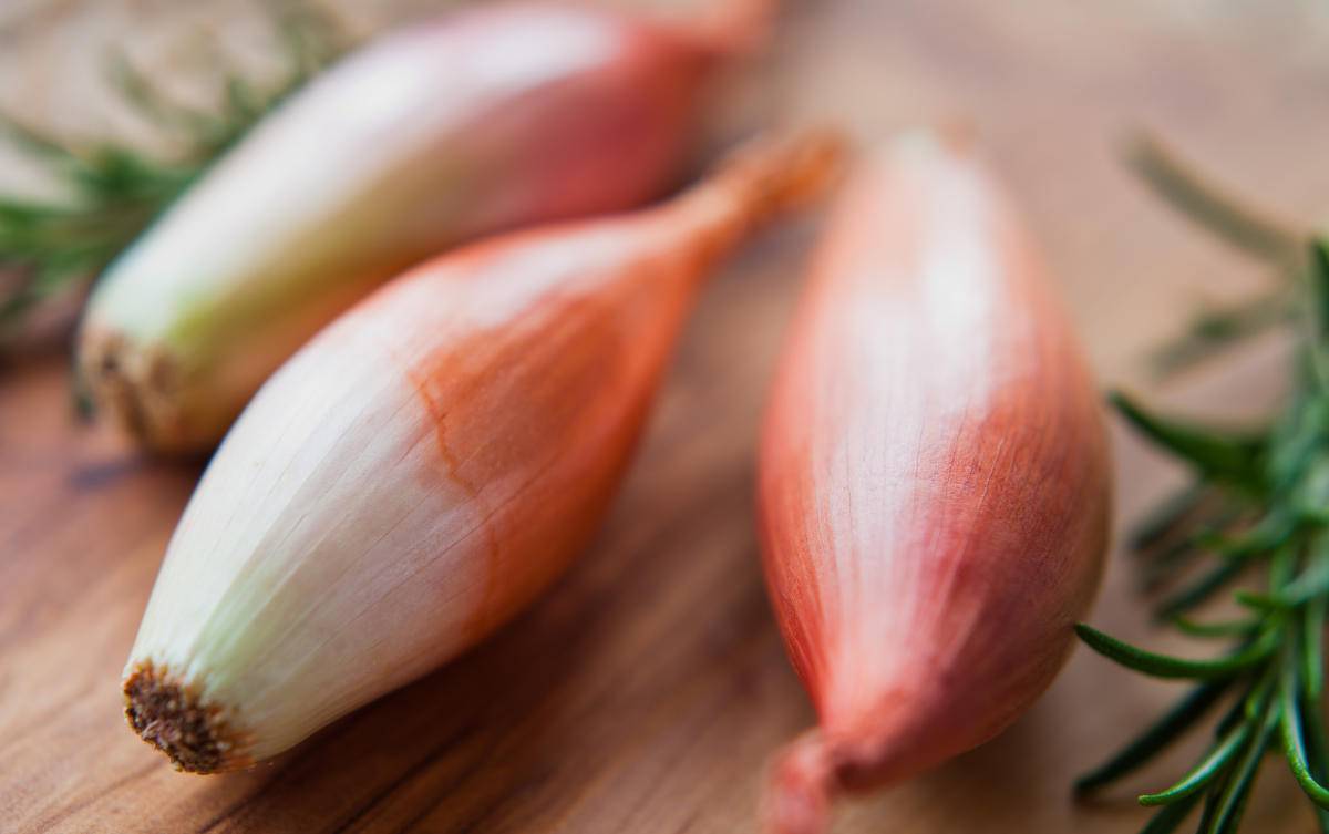 Scalogno: proprietà, benefici e controindicazioni