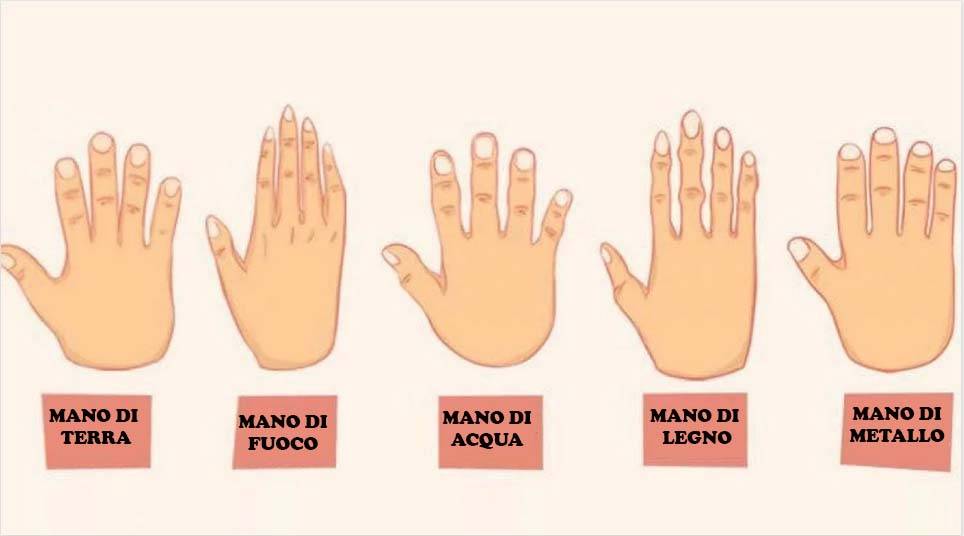 La forma delle tue mani rivela segreti sulla tua personalità
