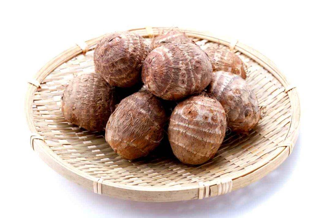 Taro: proprietà, benefici, controindicazioni e come usarlo in cucina