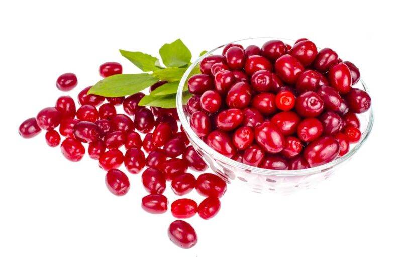 Corniolo: proprietà, benefici, controindicazioni e come mangiarlo