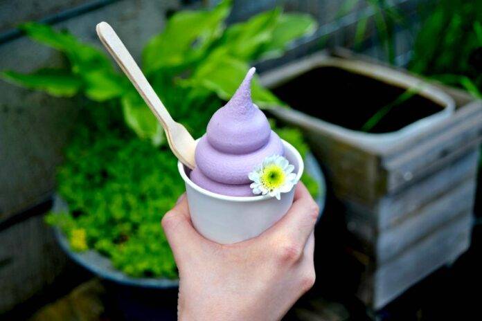 Taro: proprietà, benefici, controindicazioni e come usarlo in cucina