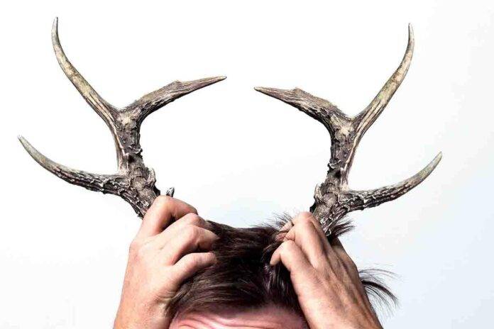 Sai perché chi viene tradito viene definito cornuto?