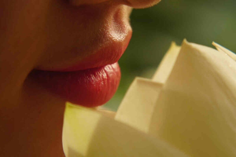 Labbra screpolate: i rimedi naturali e veloci