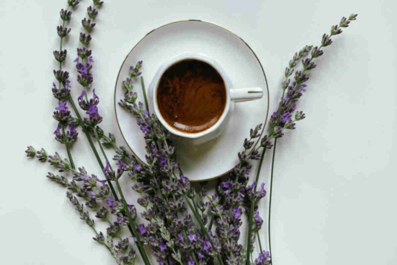 Le migliori tisane rilassanti per dormire senza ansia e stress